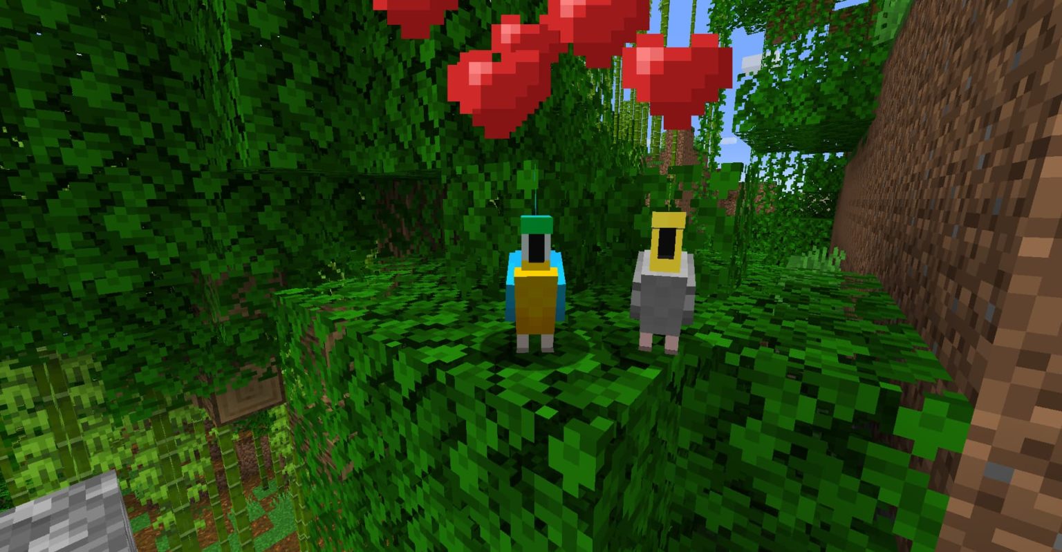 How To Tame A Parrot In Minecraft ? - Minecraft Tutos